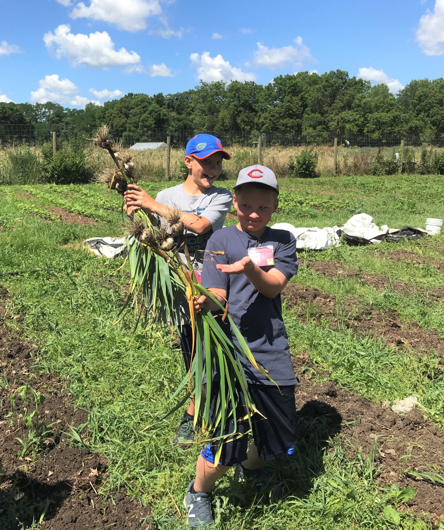 SUMMER DAY CAMP – Gorman Heritage Farm